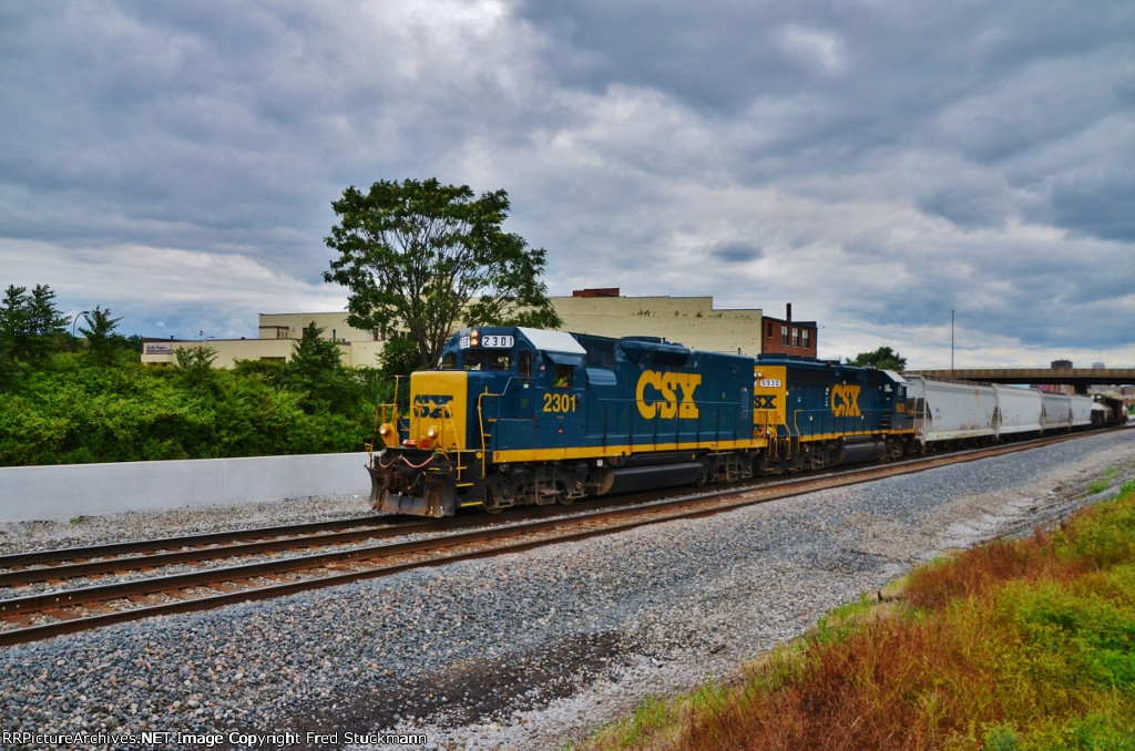 CSX 2301 passes my favorite tree.